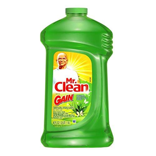 Buy Mr Clean Liquid 40-oz Original Fresh Scent All-Purpose Cleaner ...