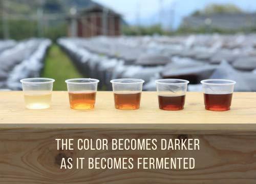 KAKUIDA Red Yeast Rice Black Vinegar (Beni Koji) 16.9 Fl Oz - 500ml ...