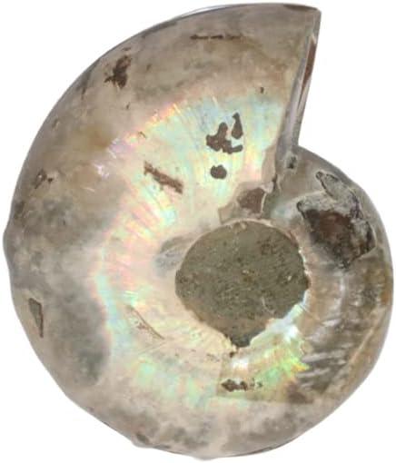 Third Eye Crystals Ammonite Fossil Carved Gemstone - Natural Crystal ...