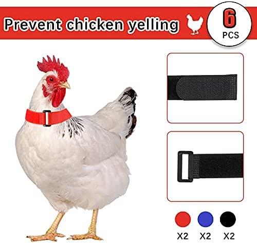 6-Piece Anti-Crow Rooster Collar - Nylon Neck Belt to Prevent Chicken ...