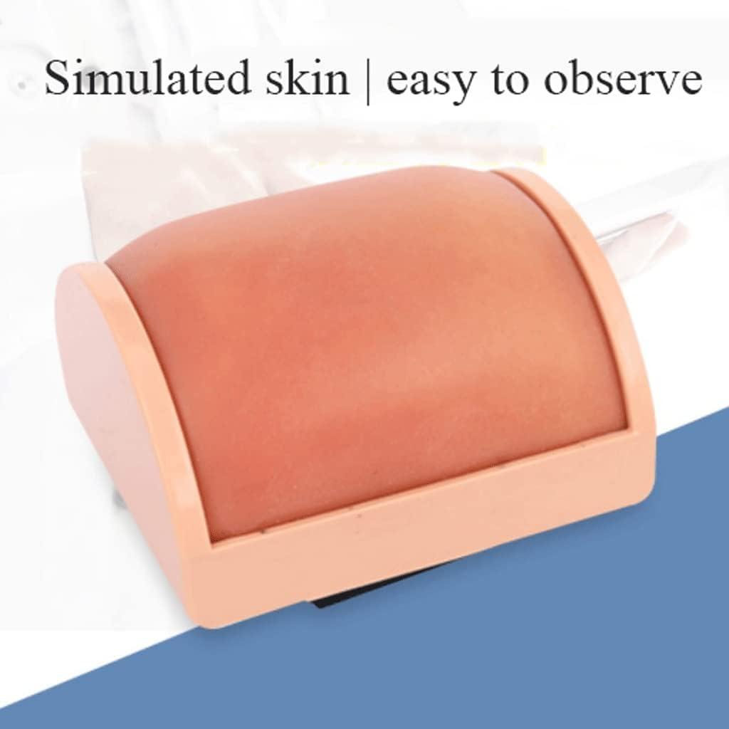 SOBOUR Model Teaching Model Intramuscular Injection Training Pad Model ...