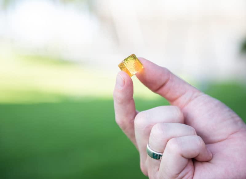 Organic Wellness Blend Hard Candy - Elderberry Schisandra Berry Lemon ...