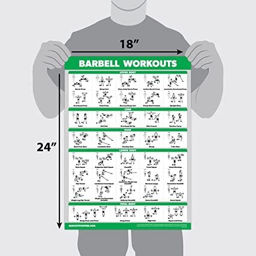 Quickfit Dumbbell & Barbell Training Poster Set - Laminated 18x27 ...