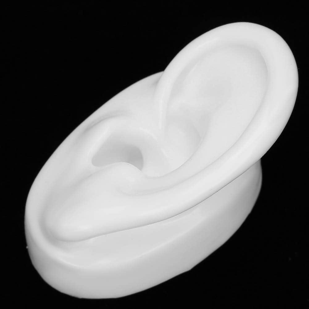 Silicone Ear Model - Realistic Artificial Ear for Hearing Aids Display ...