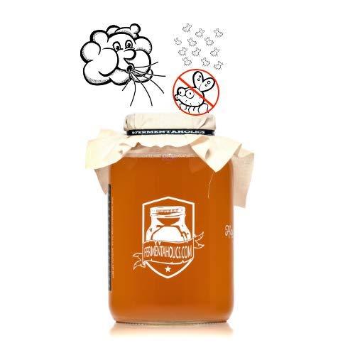 1 Gallon Jun Kombucha Starter Kit - Organic SCOBY & Ingredients for Jun ...