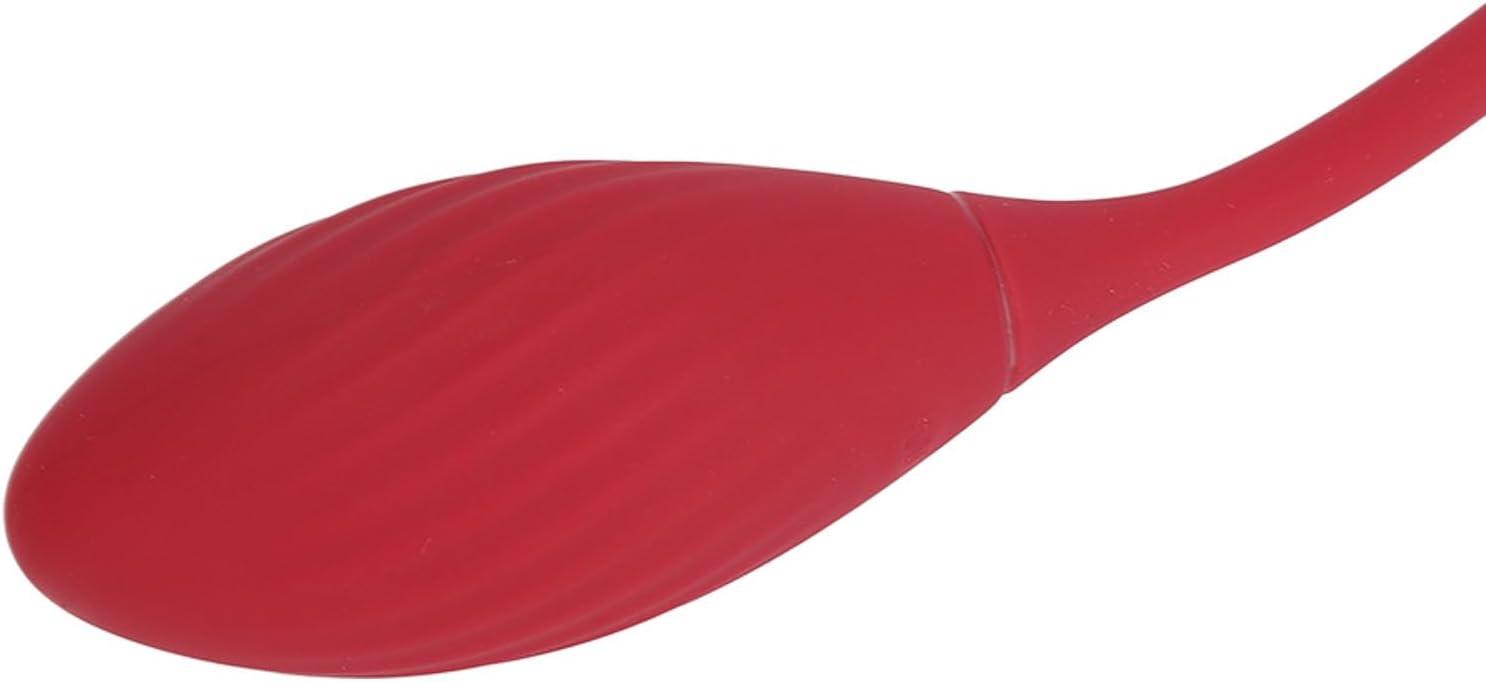 Pelvic Floor Strengthening Device for Women - Bladder Control & Muscle ...