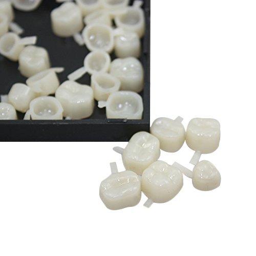 BoNew Temporary Crown Material for Molar Teeth - 50pcs | Buy Now with ...