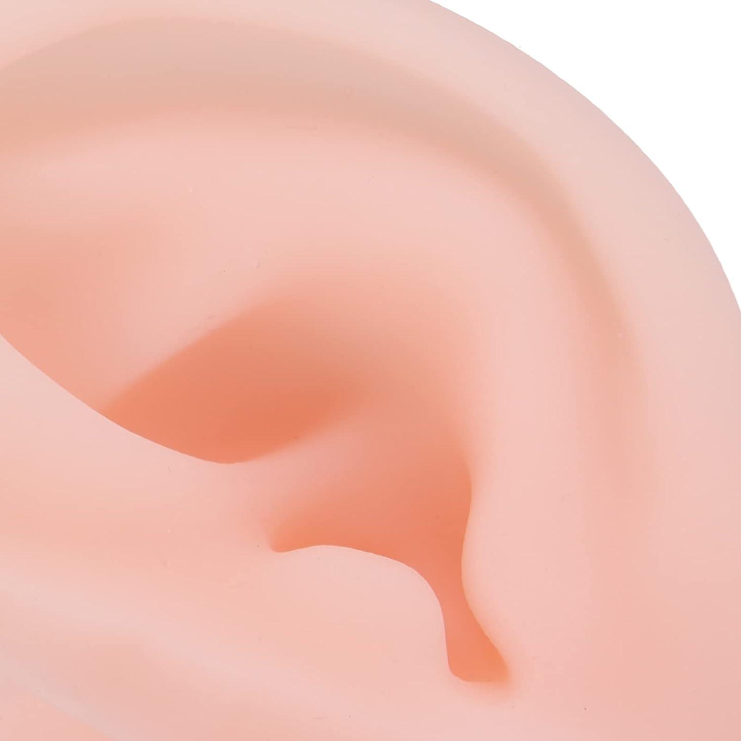 Soft Silicone Human Ear Model - 1 Pair Flexible & Simulated for ...
