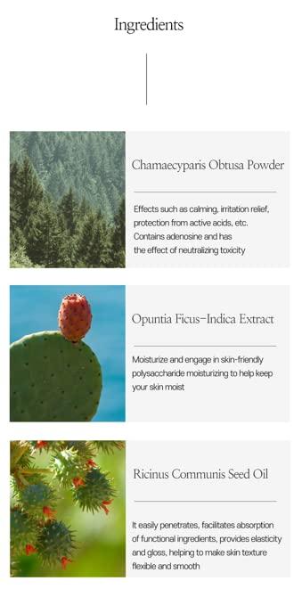 Chiett Moisture Shine Hair Repair Mask 1000ml - Hydrating Hair ...