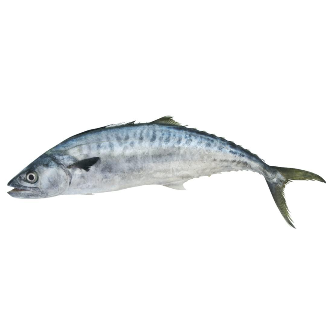 Fresh Whole King Fish 1 kg | Buy Now with Express International ...