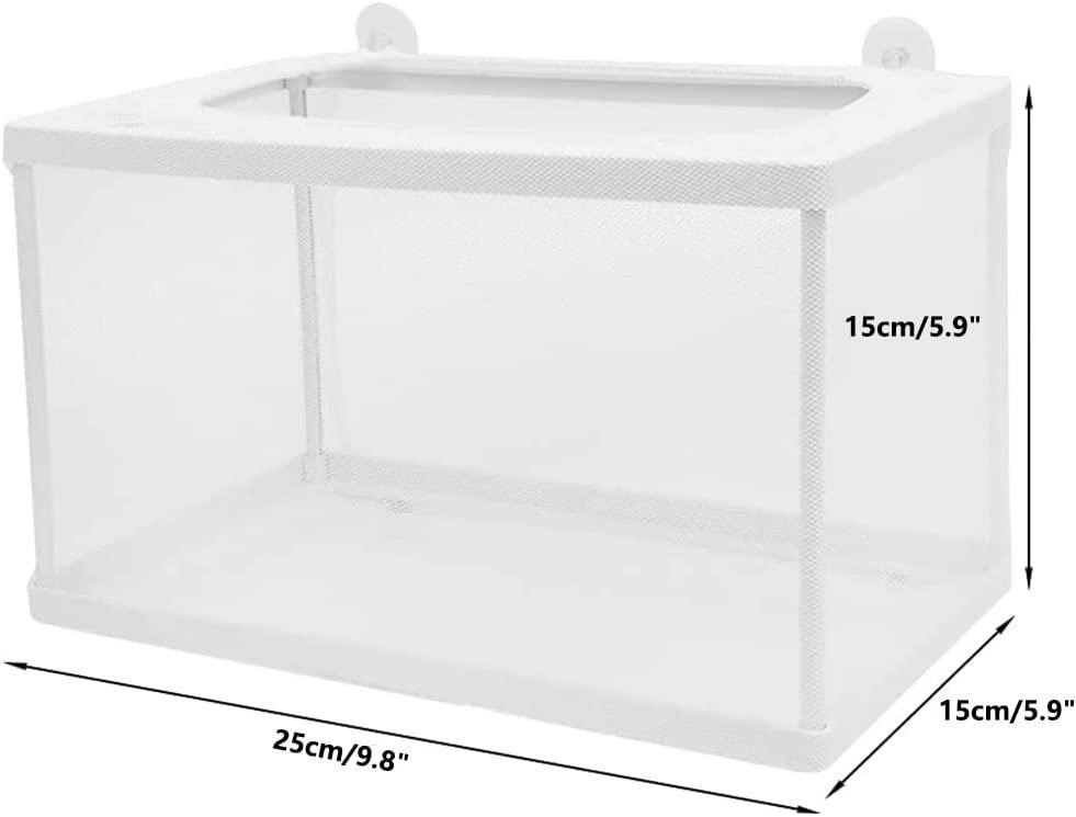 Trinidad Fish Breeding Box - Large Isolation & Nursery Container with ...