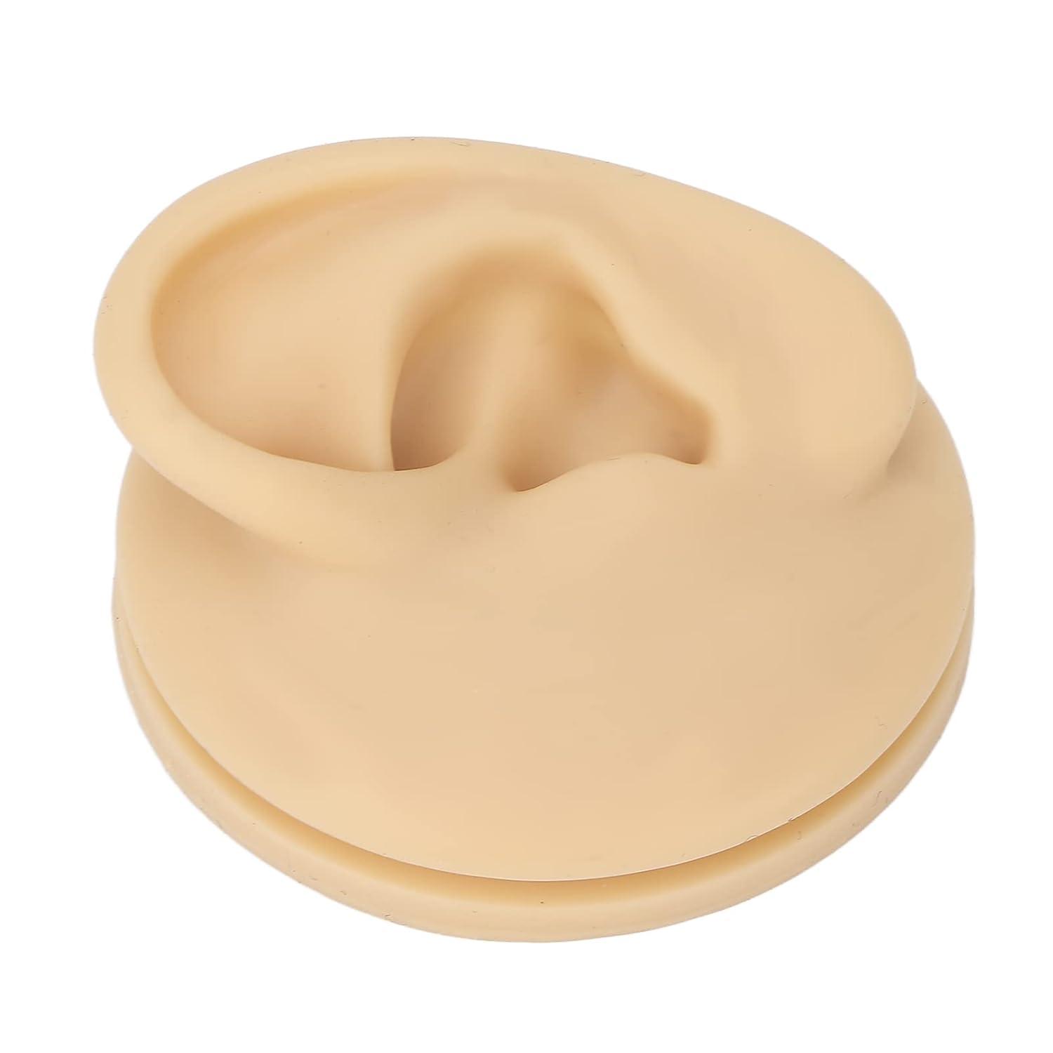 Human Ear Model Left Ear Soft Lifelike Fake Ear Model for Teaching ...