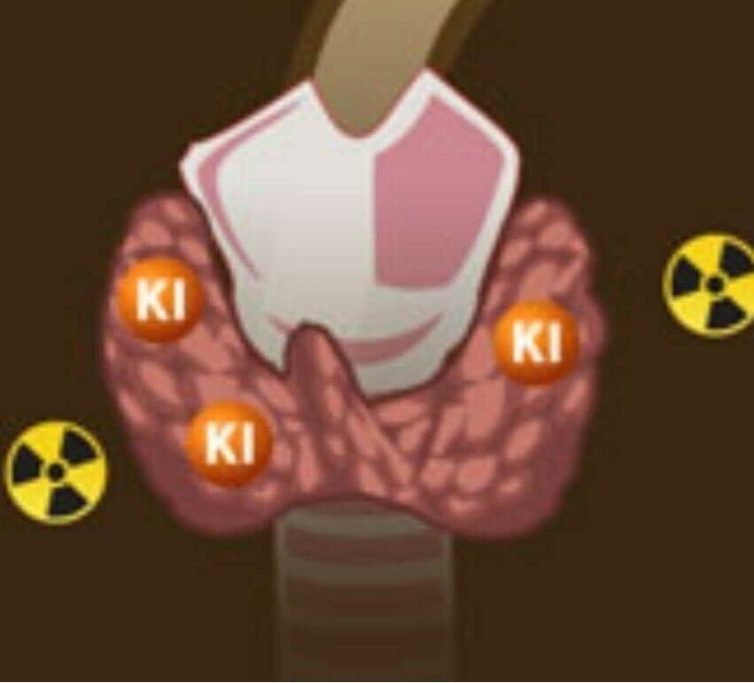 A2Z Potassium Iodide Liquid Drops 250 mcg Supplement - Thyroid Support - More Bioavailable Than ...