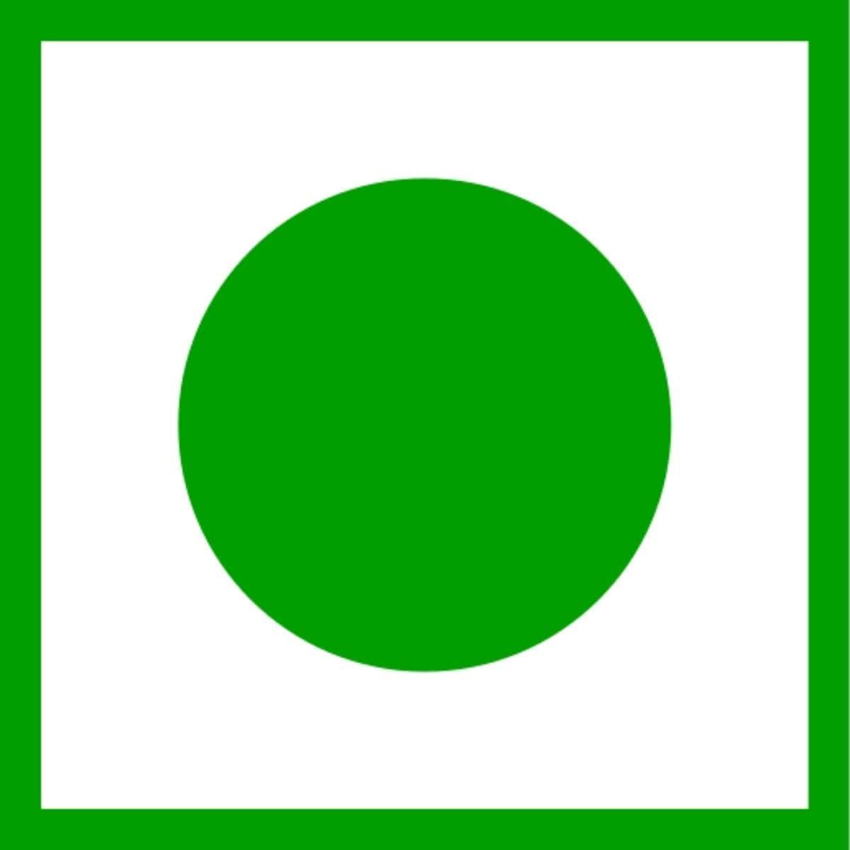 Brahmi Booti-Bacopa Monnieri-Raw Herbs-Saraswati Leaves-Indian ...