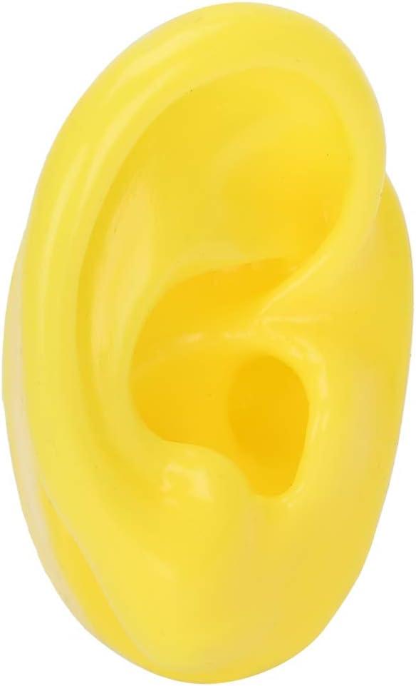 Silicone Teaching Ear Model for Kids (Right Ear) - Educational Ear ...