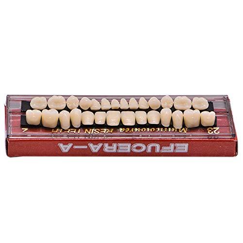 2Sets Dental Acrylic Resin Denture Tooth Kit False Tooth 23 A2 for ...