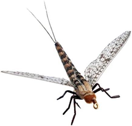 Synthfly Lifelike Mayfly Pack - Gray & Brown Drake in Sizes 10 12 14 ...