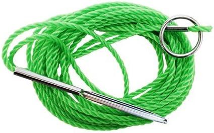 Eagle Claw 04300-003 Poly Stringer - 12ft Multi-Color Stringer for ...