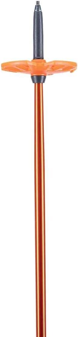 Backcountry Access Scepter Aluminum | Buy Now with Express ...