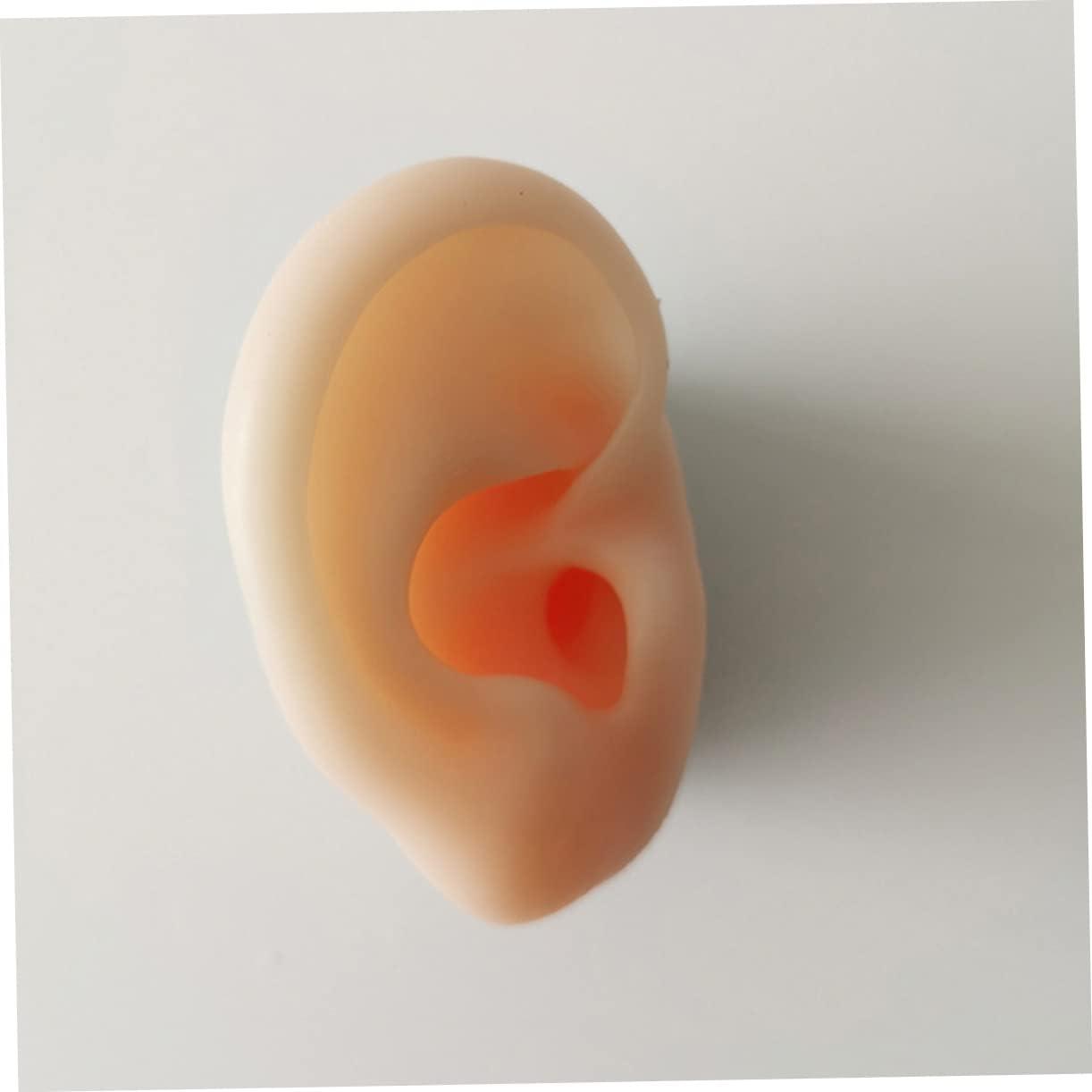 Silicone Ear Models for Practice - 1 Pair Ear Picking & Display Samples ...