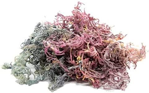 Wildcrafted Sea Moss Full Spectrum Gel Making Kit | 2.5 oz | Raw, Non ...