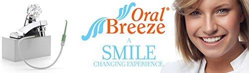 Oral Breeze QuickBreeze Oral Irrigator | Sink Faucet Water Flosser for ...