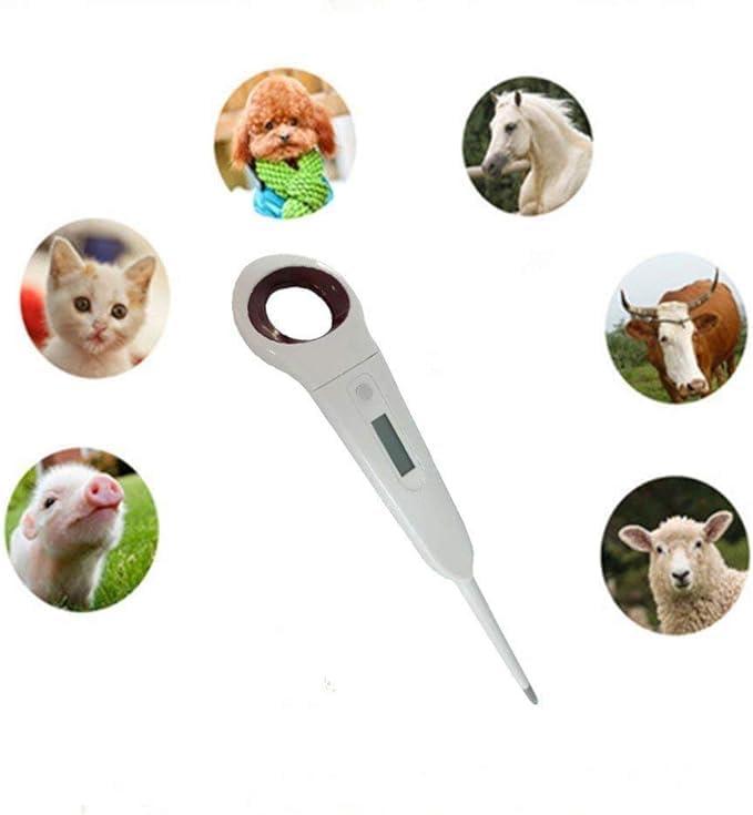 Pet Thermometer for Horse Digital Veterinary Thermometer for cattle big ...