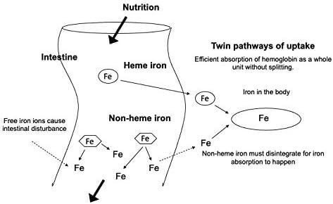 OptiFer F 60 Tablets: Natural Heme Iron & Folic Acid Supplement | Buy ...