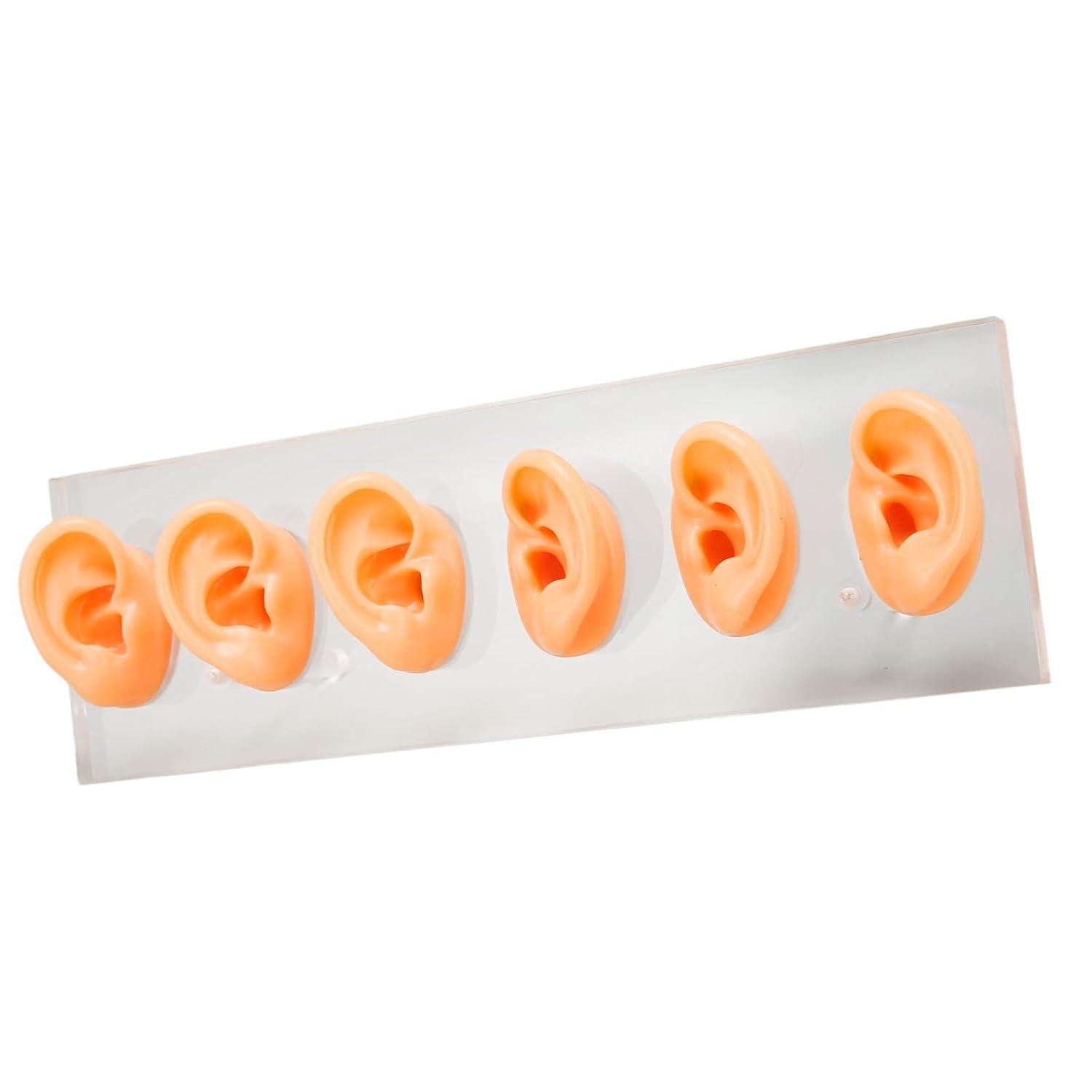 6 Pcs Silicone Ear Model Set for Hearing Aids with Acrylic Display ...