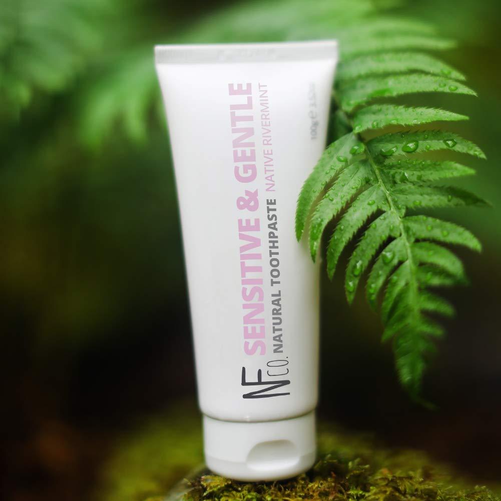 Sensitive & Gentle Natural Toothpaste - Native Rivermint 3.52 oz | The ...