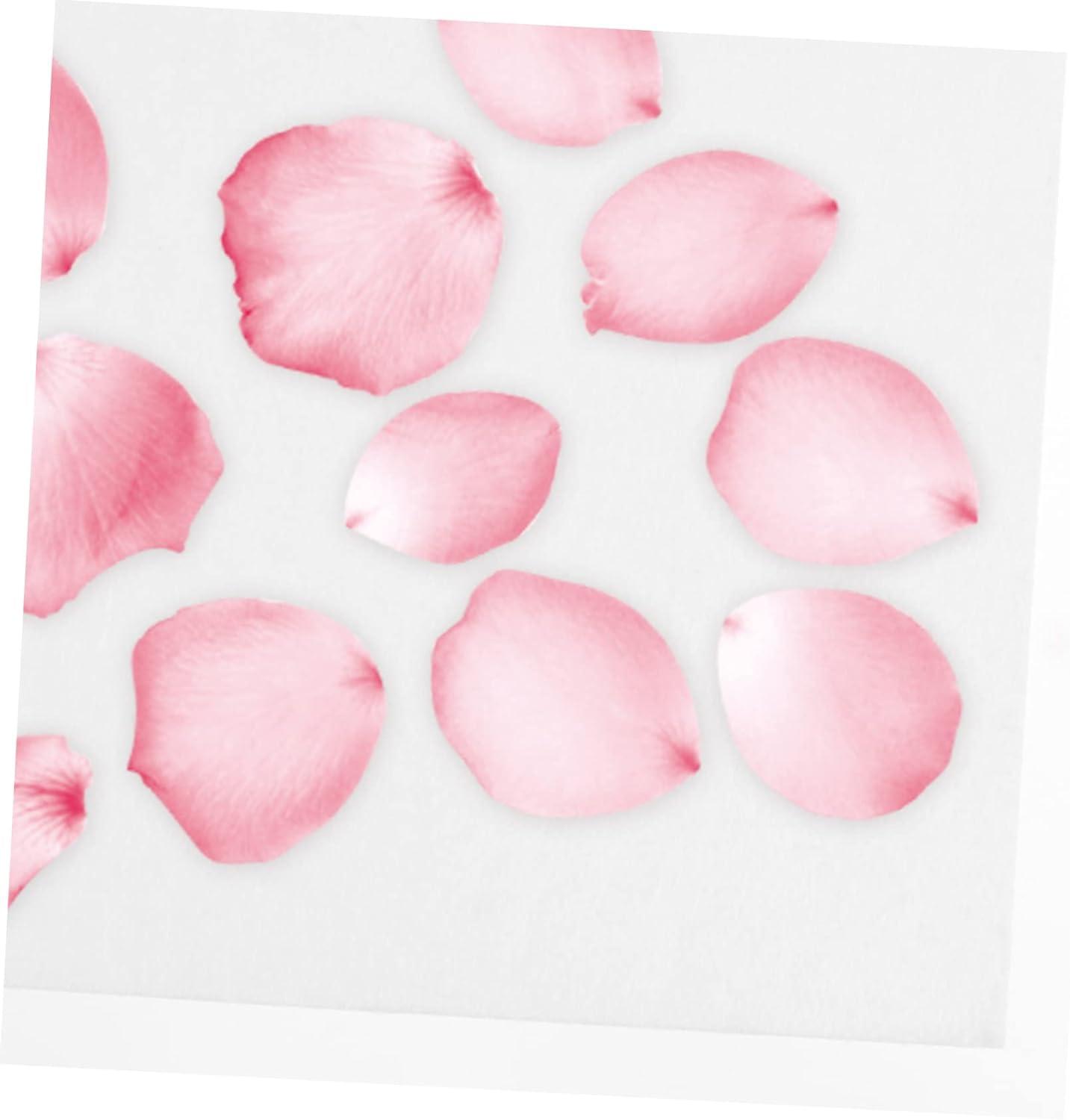 FRCOLOR Dried Flower Embossed Paper Preservation Kit for Oily Skin - 12 ...