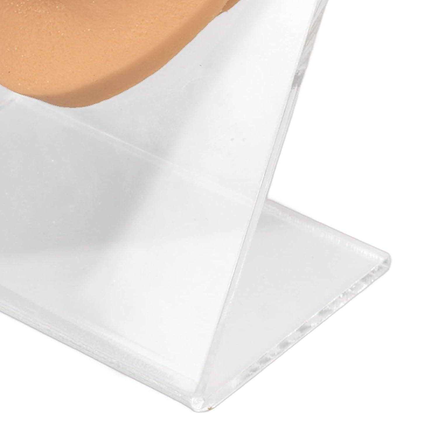 Tongue Mouth Model for Learning | Silicone Structure with Acrylic ...