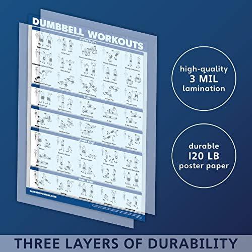 Quickfit Exercise Poster Set - 10 Laminated Posters for Dumbbell ...