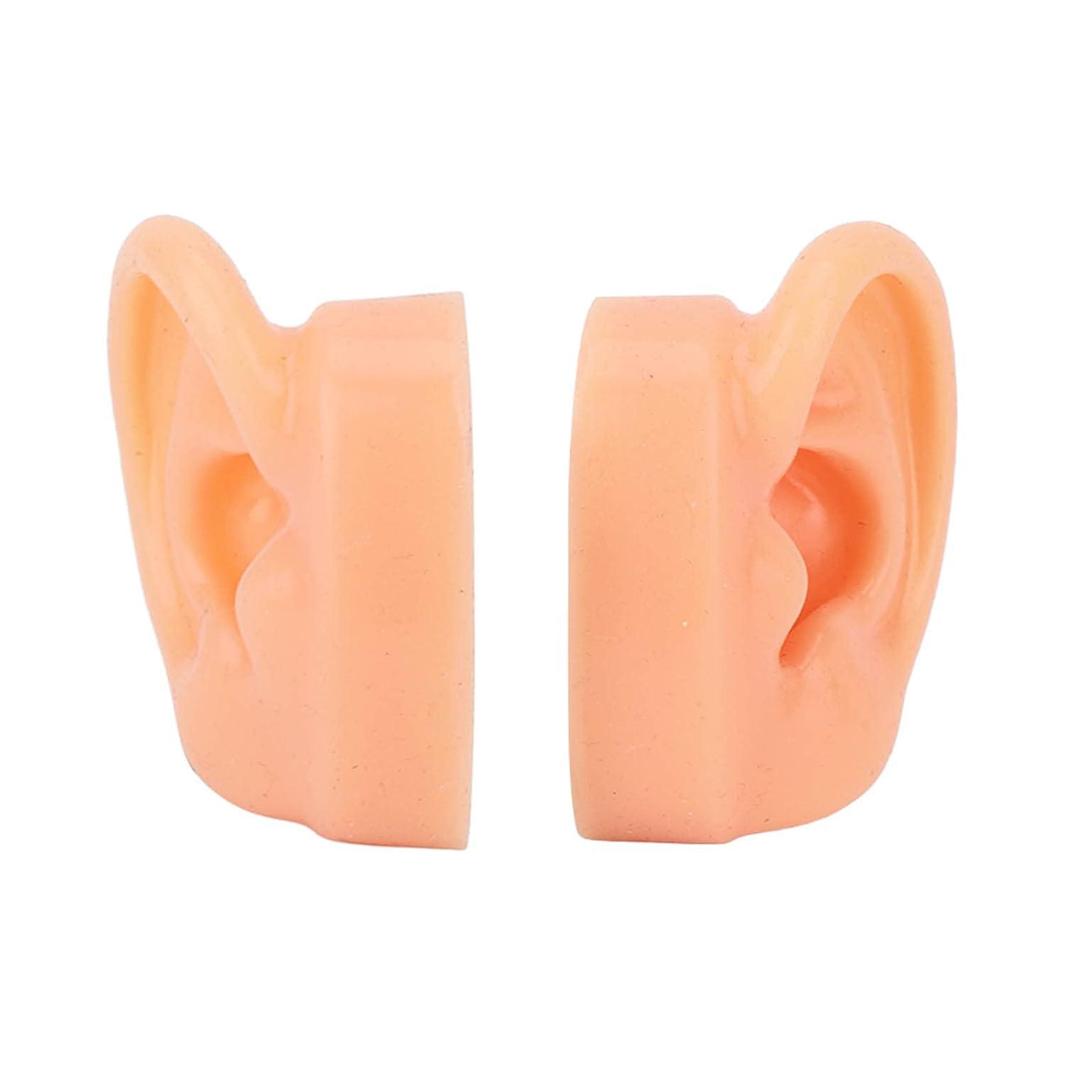 Silicone Human Ear Model for Hearing Aids & Headphones Demonstration ...