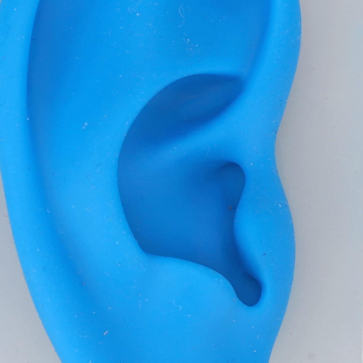 Ear Model ANGGREK Display Ear Model Soft Ear Modeling Tools Teaching ...