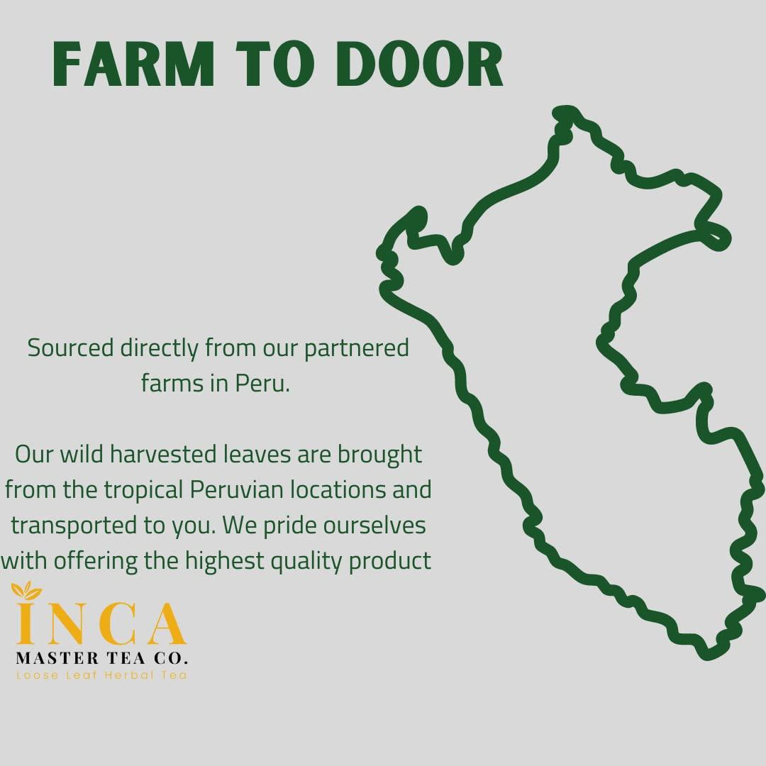 Inca Master Tea - Graviola Capsules 800mg - 100 Caps - Organic Soursop ...