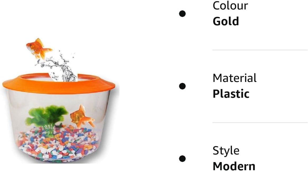 GOLDFISH STARTER SET KIT PACK TANK AQUARIUM BOWL LID GRAVEL PLANT GOLD ...