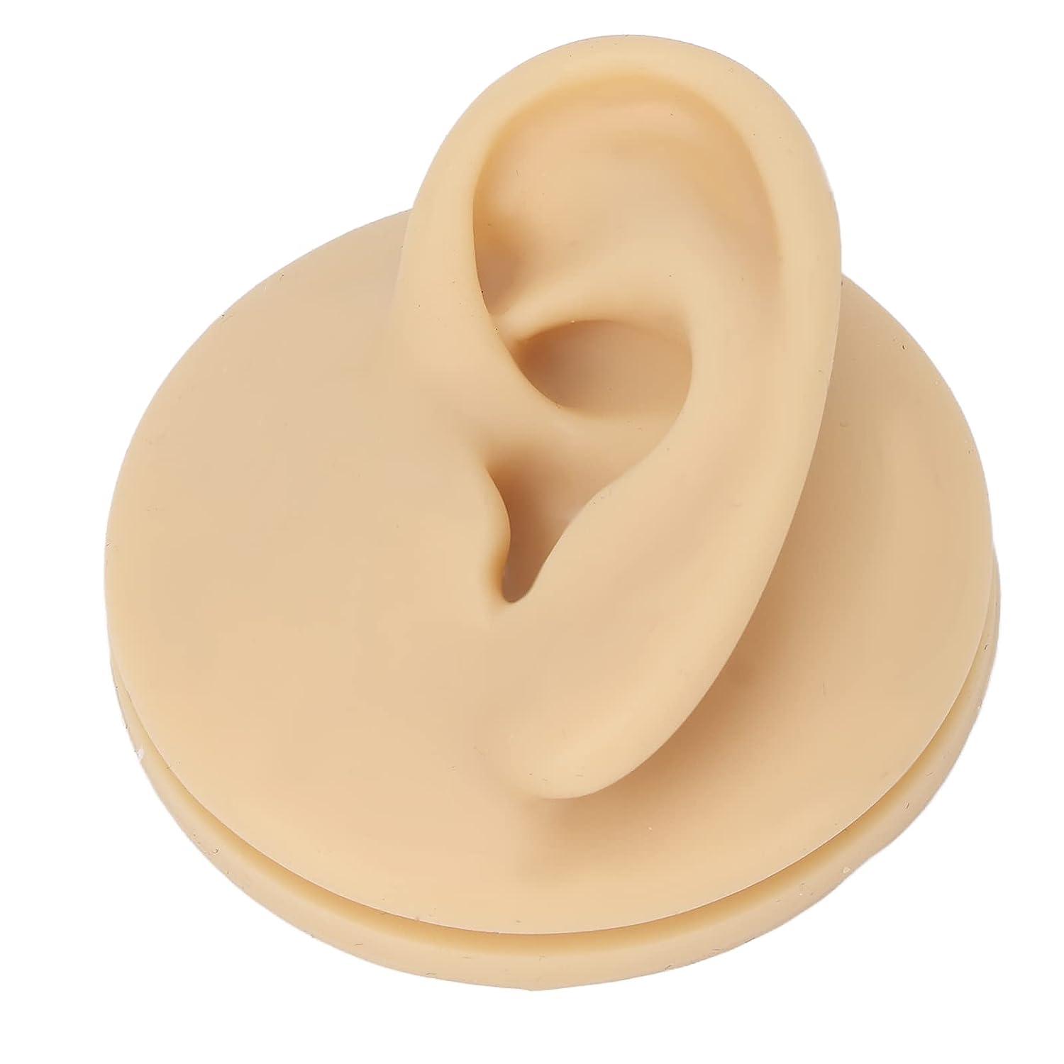 Soft Silicone Left Ear Simulation Model for Medical Teaching - Ideal ...