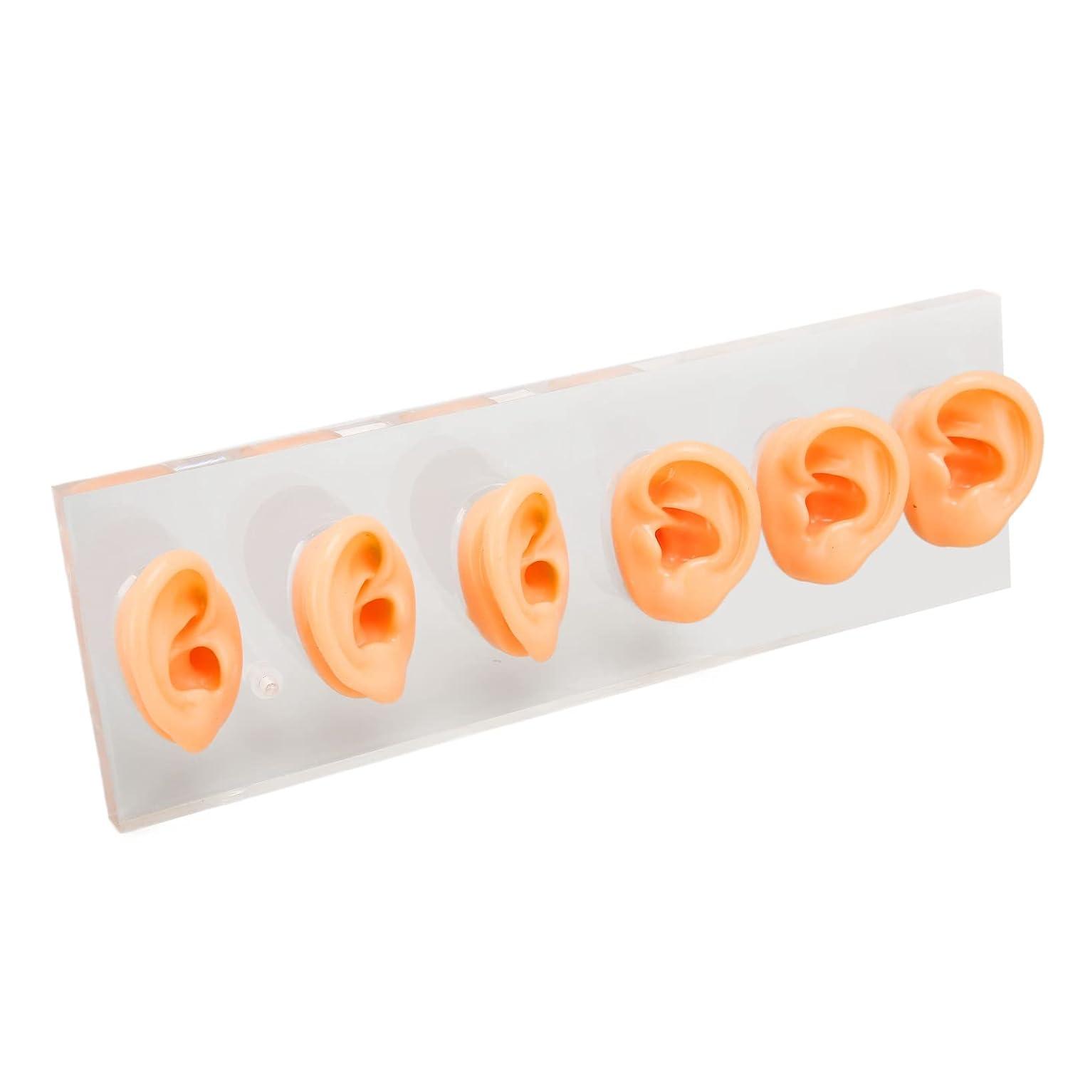 6 Pcs Silicone Ear Model Set for Hearing Aids with Acrylic Display ...