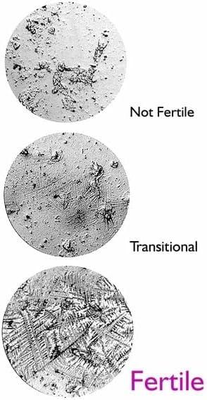 Fairhaven Health Fertile-Focus 1 Ovulation Microscope - Accurate ...