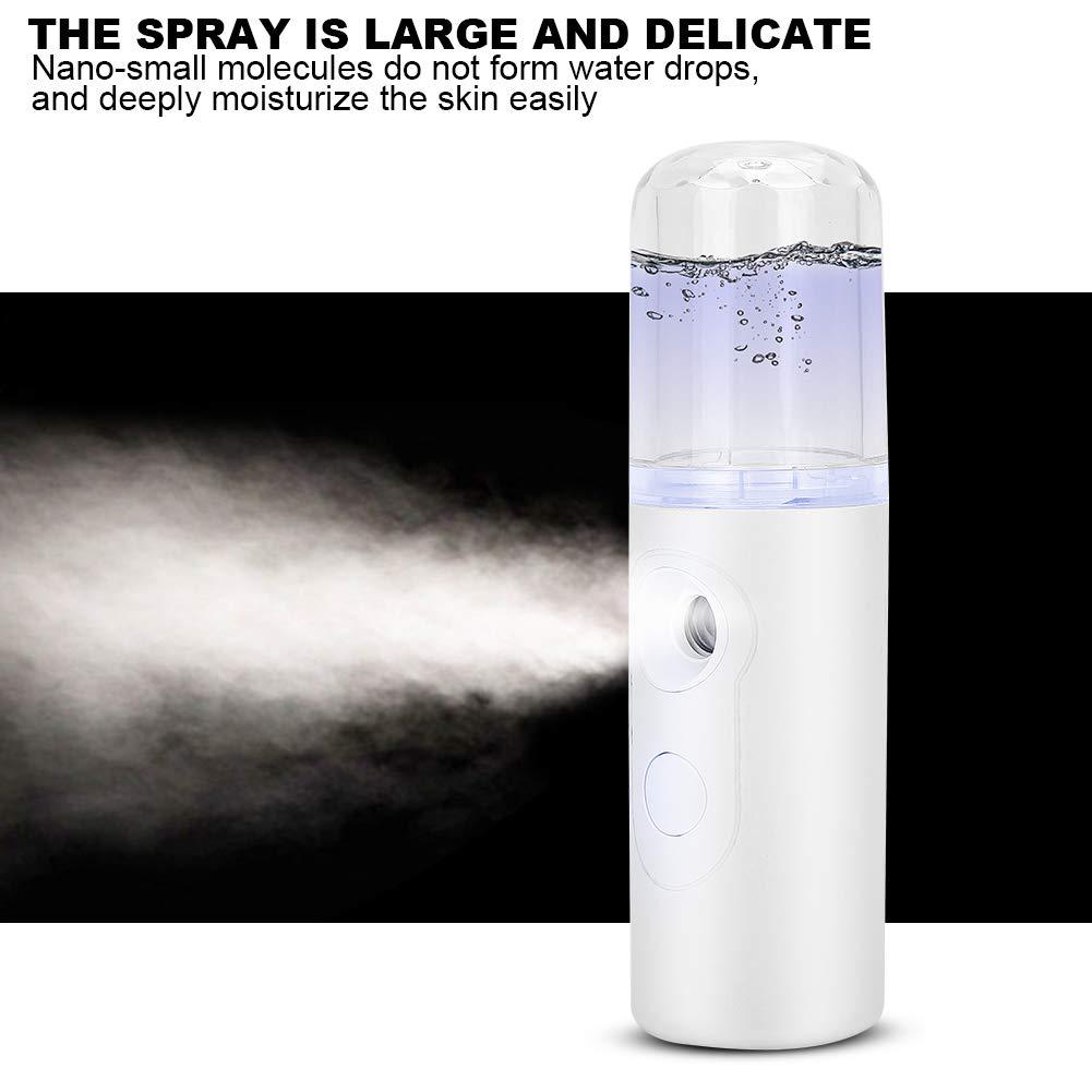Portable Facial Mister - Mini Sprayer for Professional Skincare ...