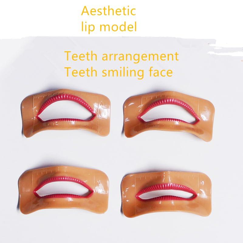 Buy Dental Aesthetics Lip Test Set - Porcelain Clinical Examination ...