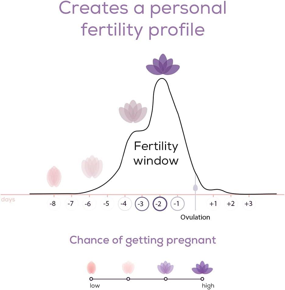 Beurer Pearl Fertility Tracker: Monitor & Plan Your Cycle, Calculate ...