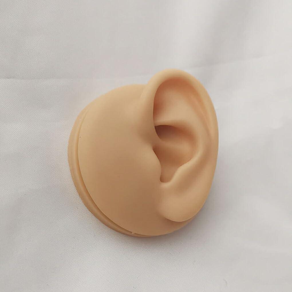 WEHOMY Silicone Left Ear Model for Teaching Instruction - Realistic 3D ...