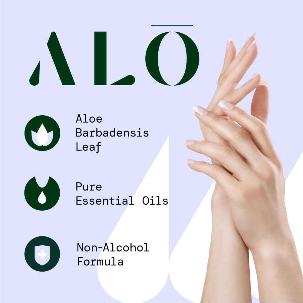Peppermint Eucalyptus + Aloe Hand Sanitizing Wipes - 20 Individual ...