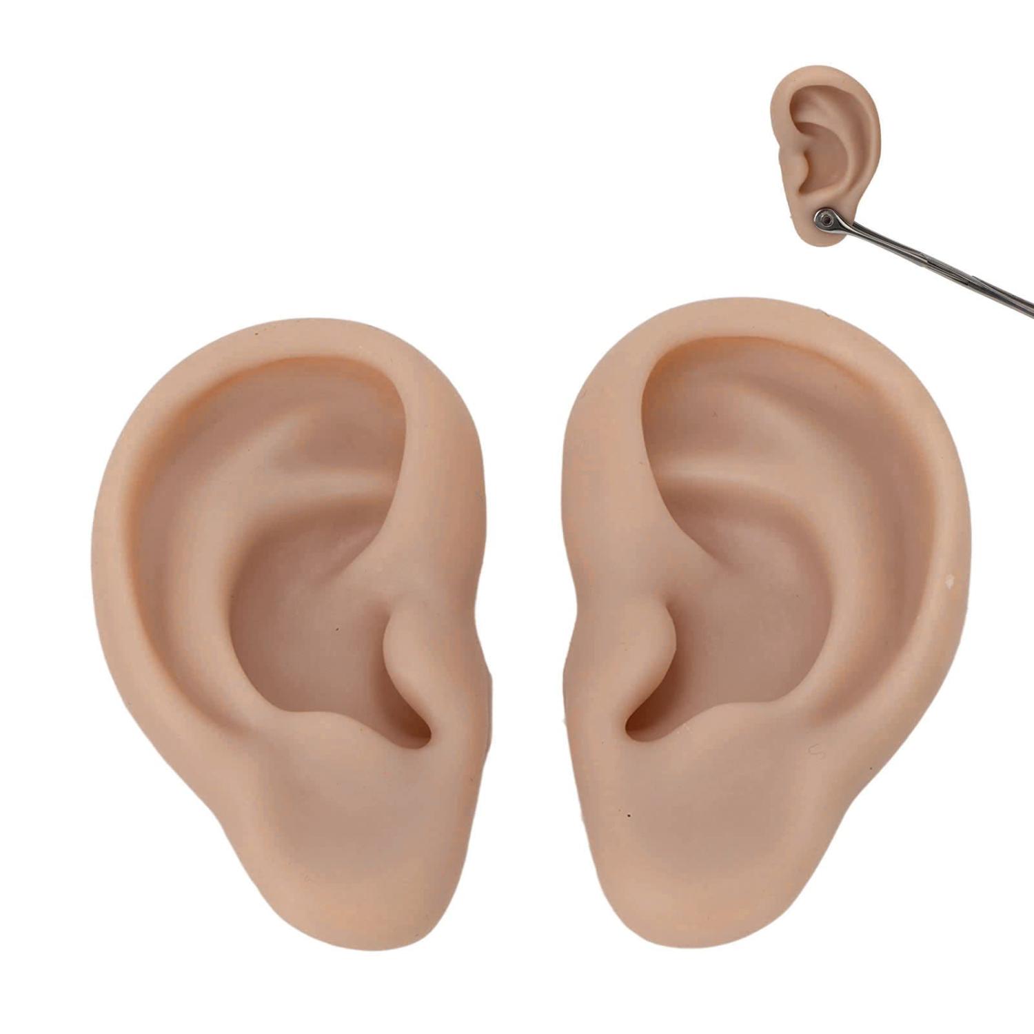 Silicone Flexible Ear Model - Dark Skin Color | Soft & Realistic Human ...