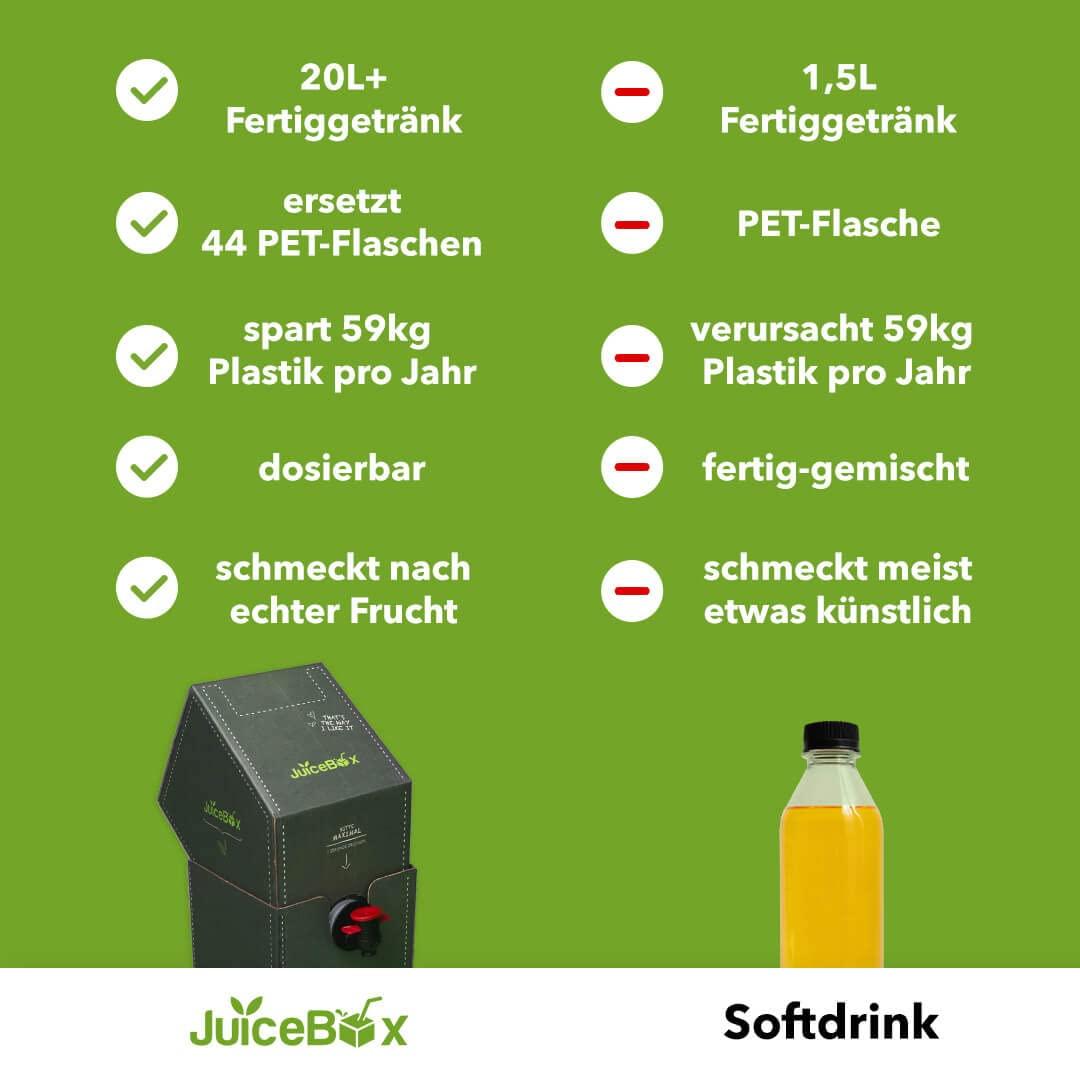JuiceBox Elderflower Syrup - 2 Liters (Makes 22L Ready-to-Drink ...