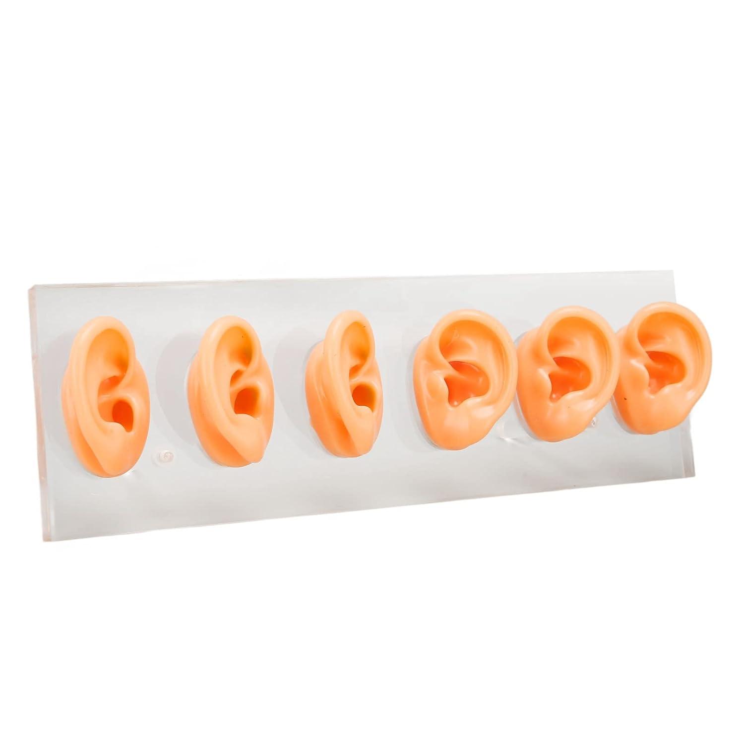 6 Pcs Silicone Ear Model Set for Hearing Aids with Acrylic Display ...