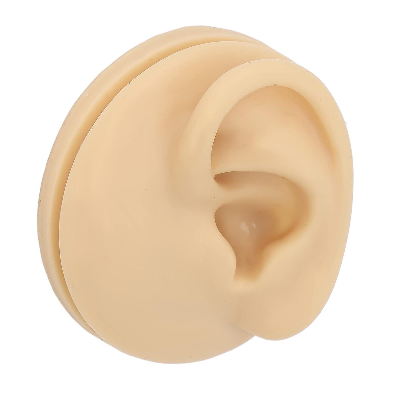 Soft Silicone Left Ear Simulation Model for Medical Teaching - Ideal ...