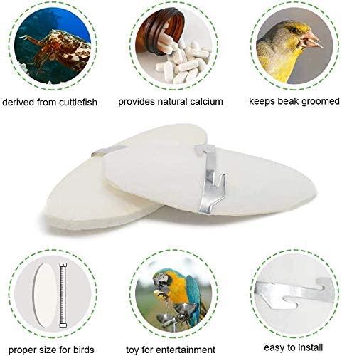 Jmxu's 5 -5.5 Bird Cuttlebone with Metal Holder | 6 Pack Natural ...